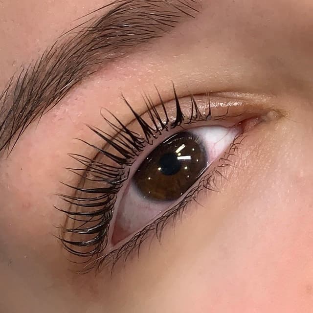 The Lash Boutique (Philadelphia) - Eyelash Extensions